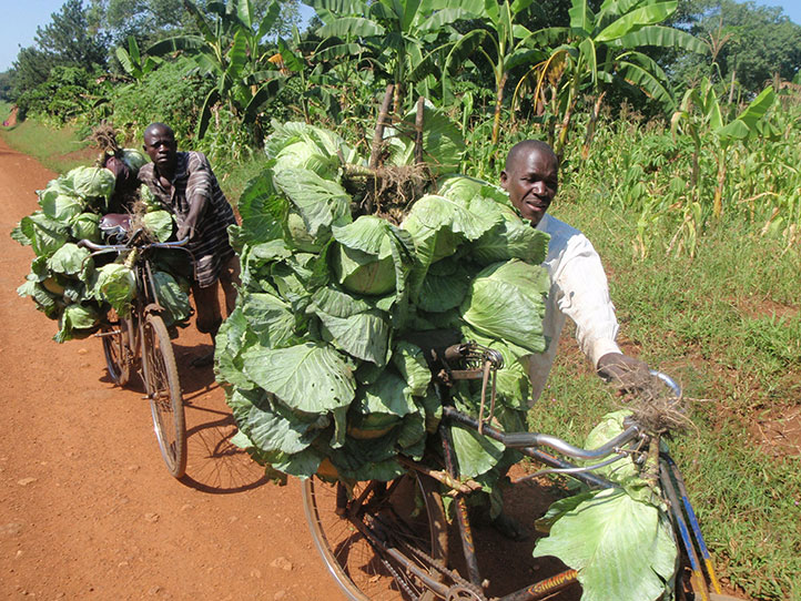 Oxfam calls for increased funding to Uganda’s agricultural sector - The ...