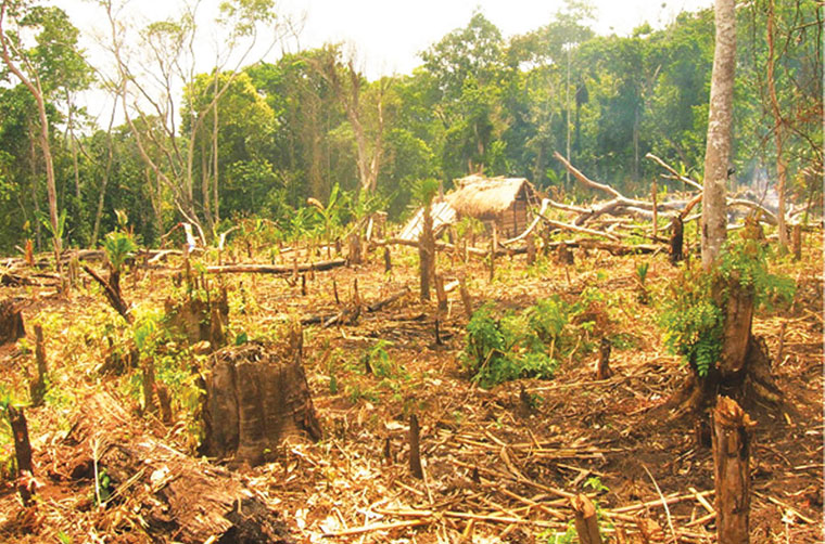 Climate crisis and how it affects Uganda’s economy - The Observer