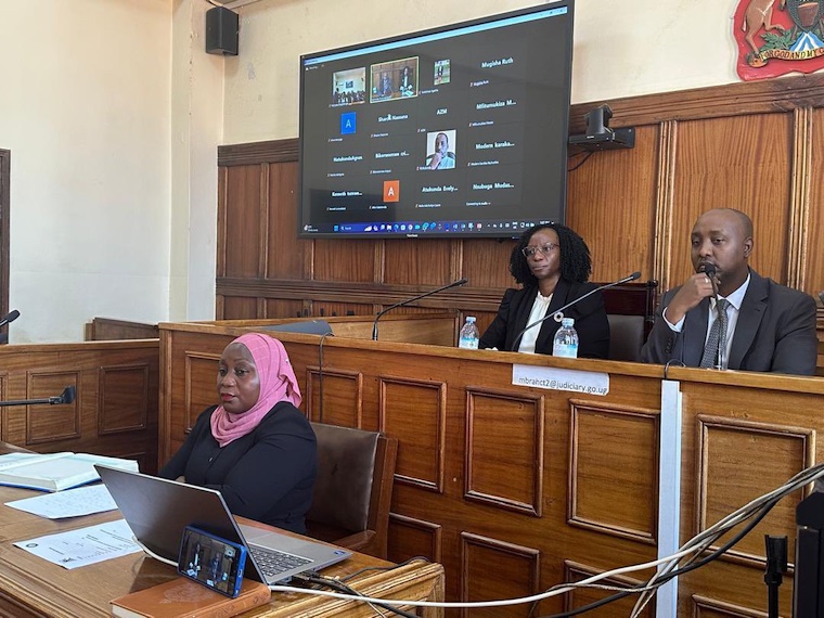 Access to justice: “Today it’s me, tomorrow someone else” - The Observer