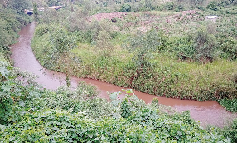 From crisis to conservation: The campaign saving Uganda’s vital River ...