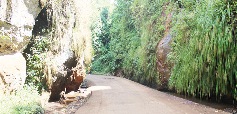 Beautiful Bulambuli has more to it than landslides - The Observer