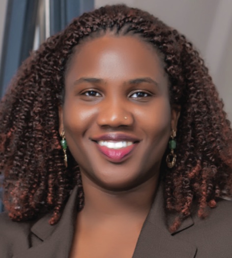 Vandalism pushing up electricity prices - The Observer