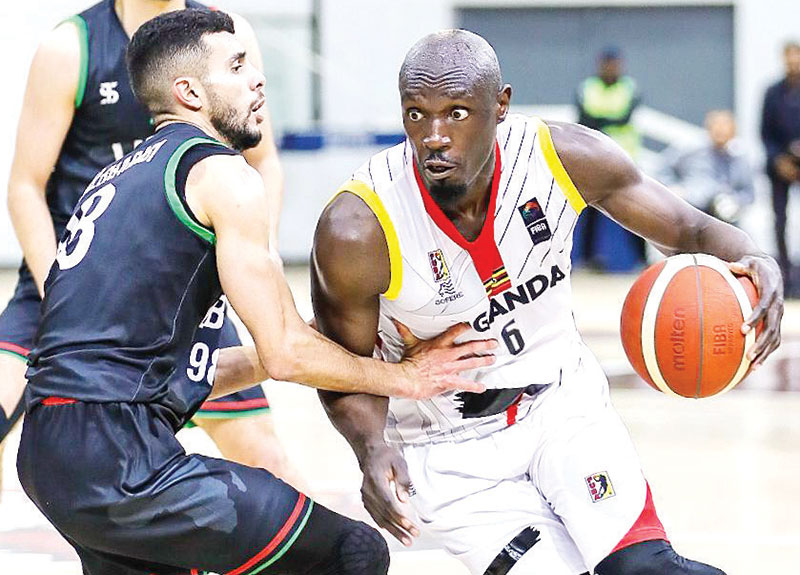 Have the Silverbacks reached their ceiling? - The Observer