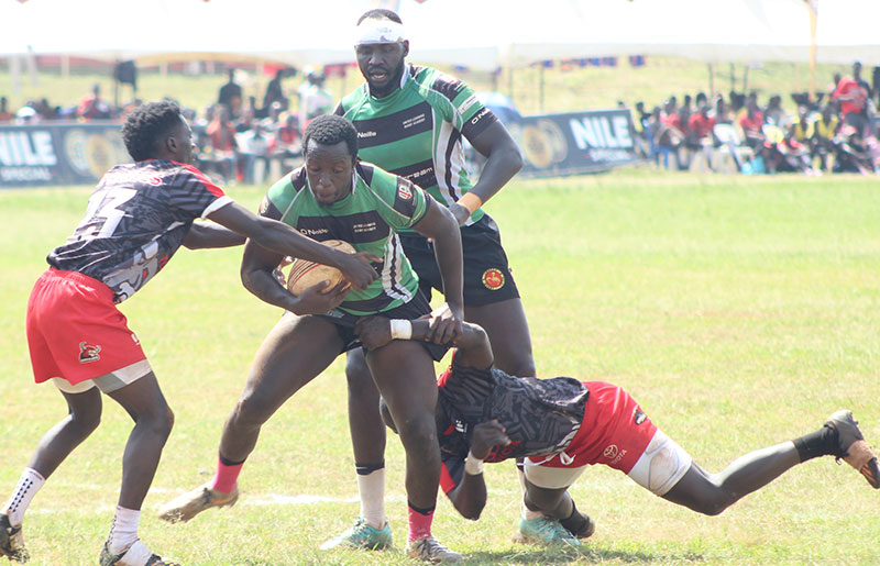 Buffaloes, Kobs battle in playoff - The Observer