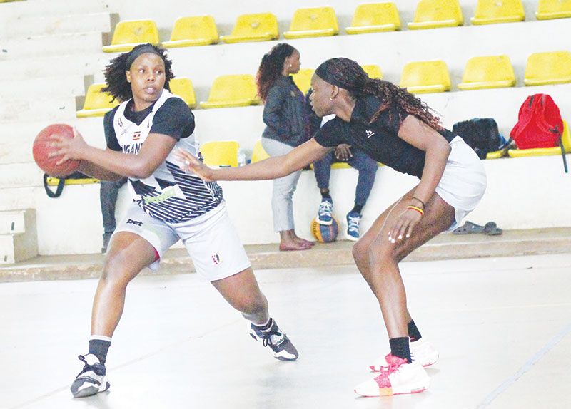 How much of the Gazelles’ Afrobasket exploits can be celebrated? - The ...